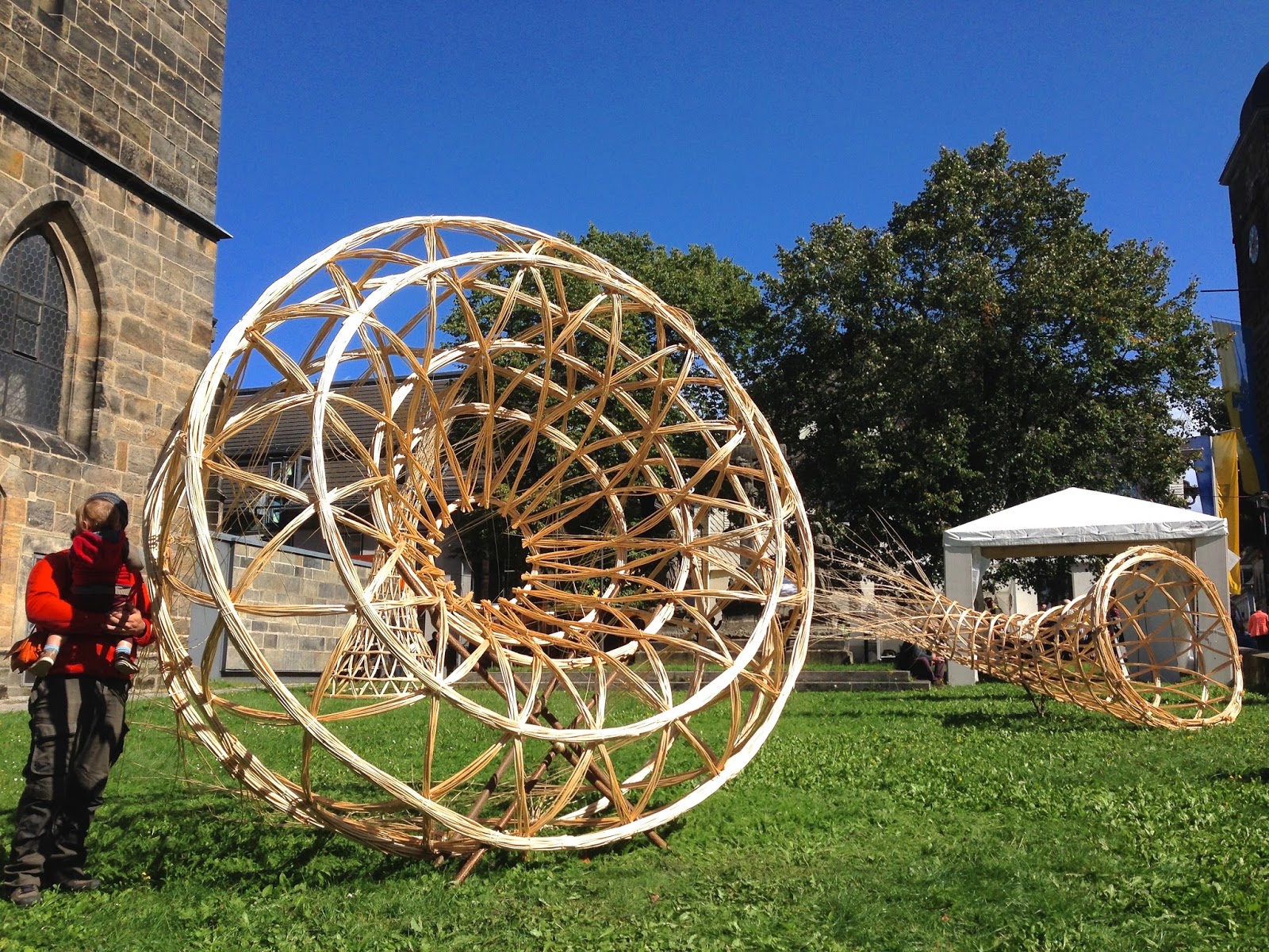 Carlos Fontales: 2017