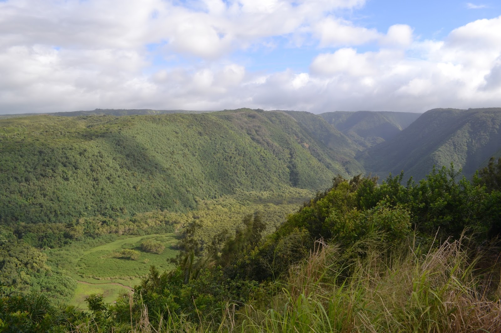 Family Travel Blog : Getting to know the sleepy town of Hawi, Hawaii