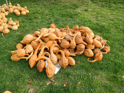 Ohio Gourd Show - Delaware, Ohio | Ohio Festivals