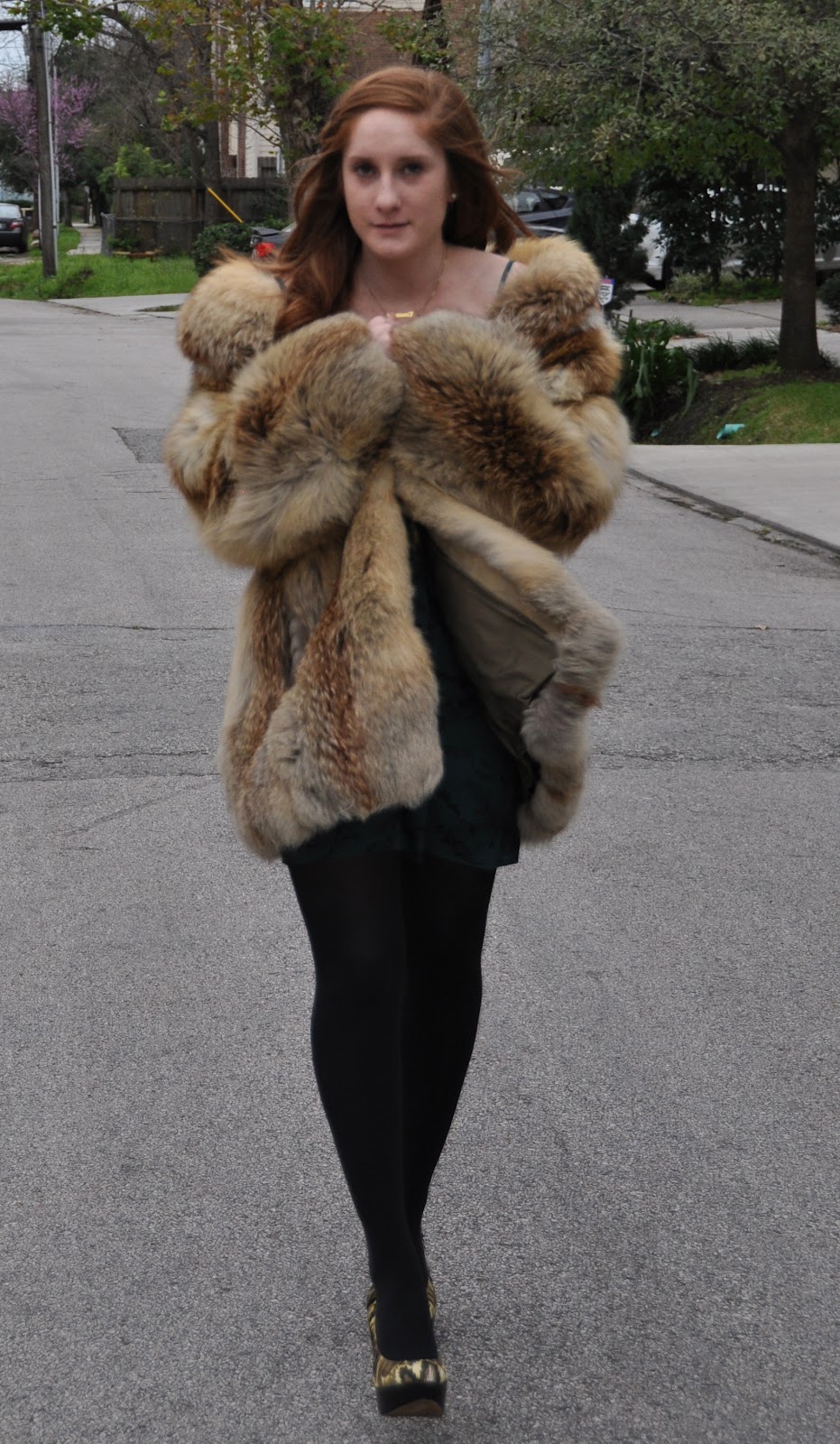 The Little Texan: Foxy Fur