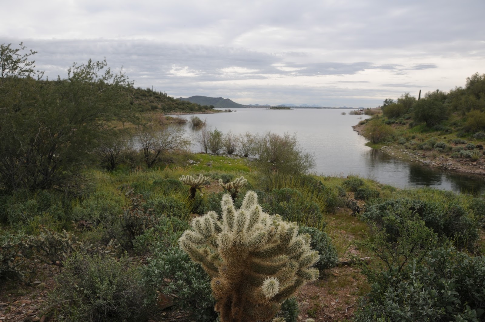 Arizona Hiking: WILD BURRO TRAIL