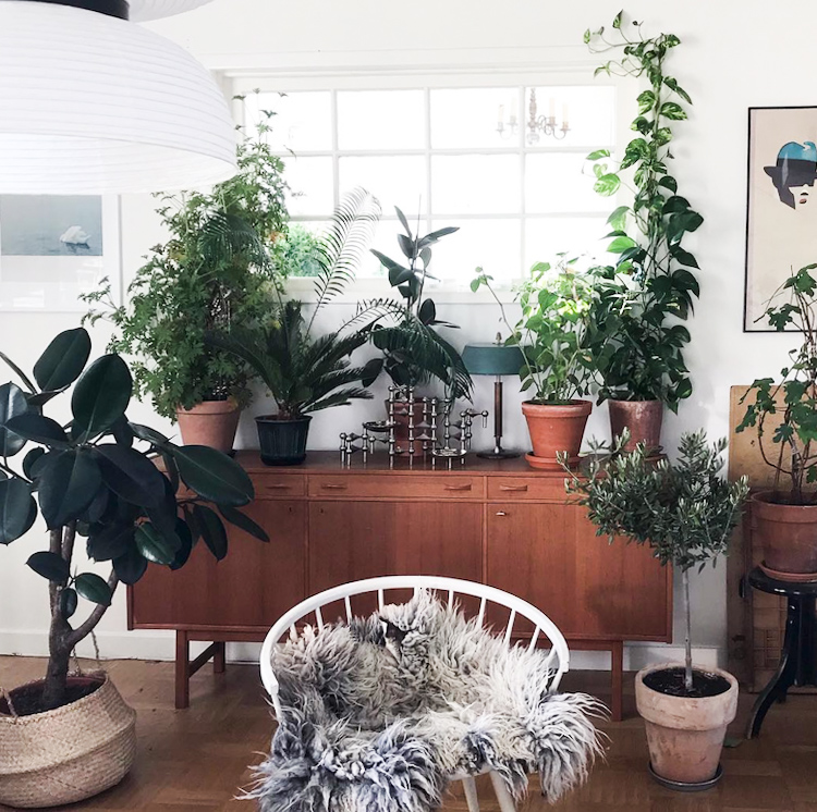 my scandinavian home: The Charming Swedish Home of a Plant and Flea ...