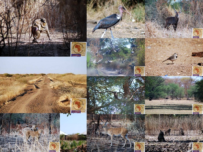 Dinder National Park Sudan