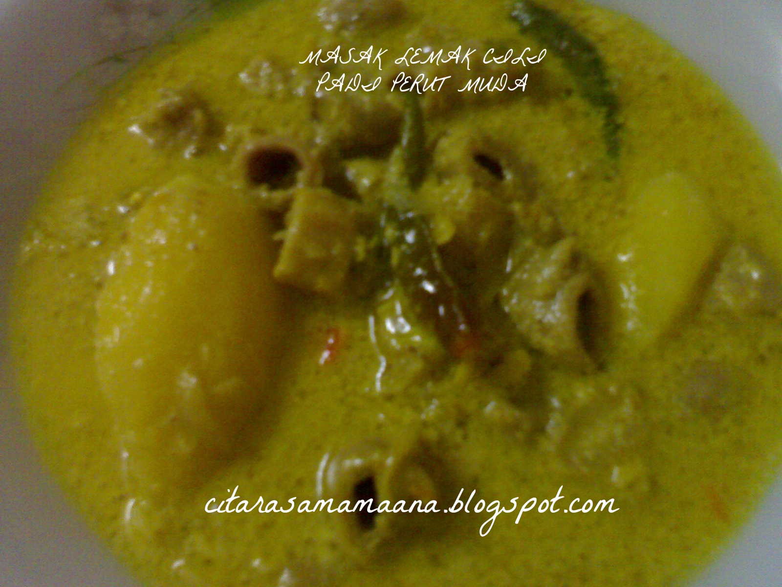 .: MASAK LEMAK CILI PADI PERUT MUDA