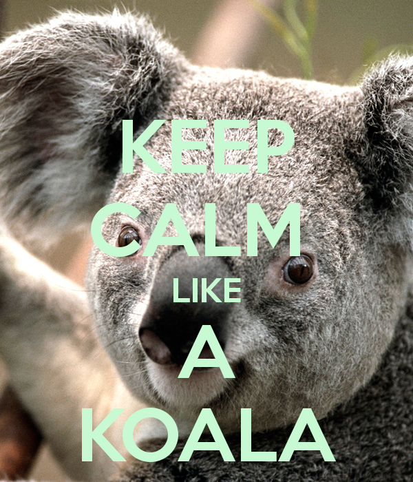 KEEP CALM LIKE A KOALA