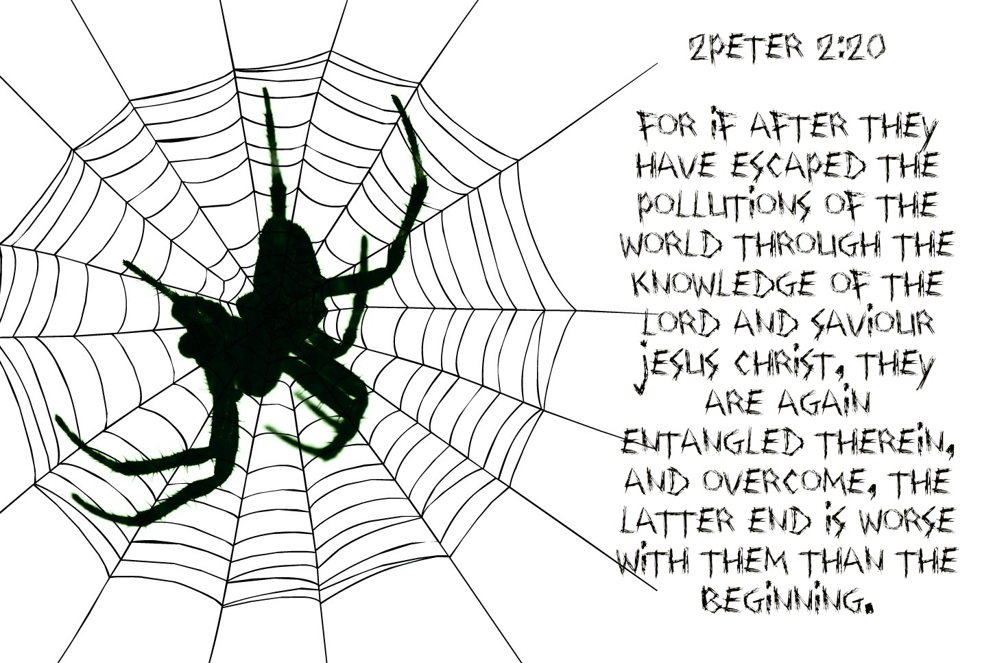 Christian Images In My Treasure Box: Entangled - Spider
