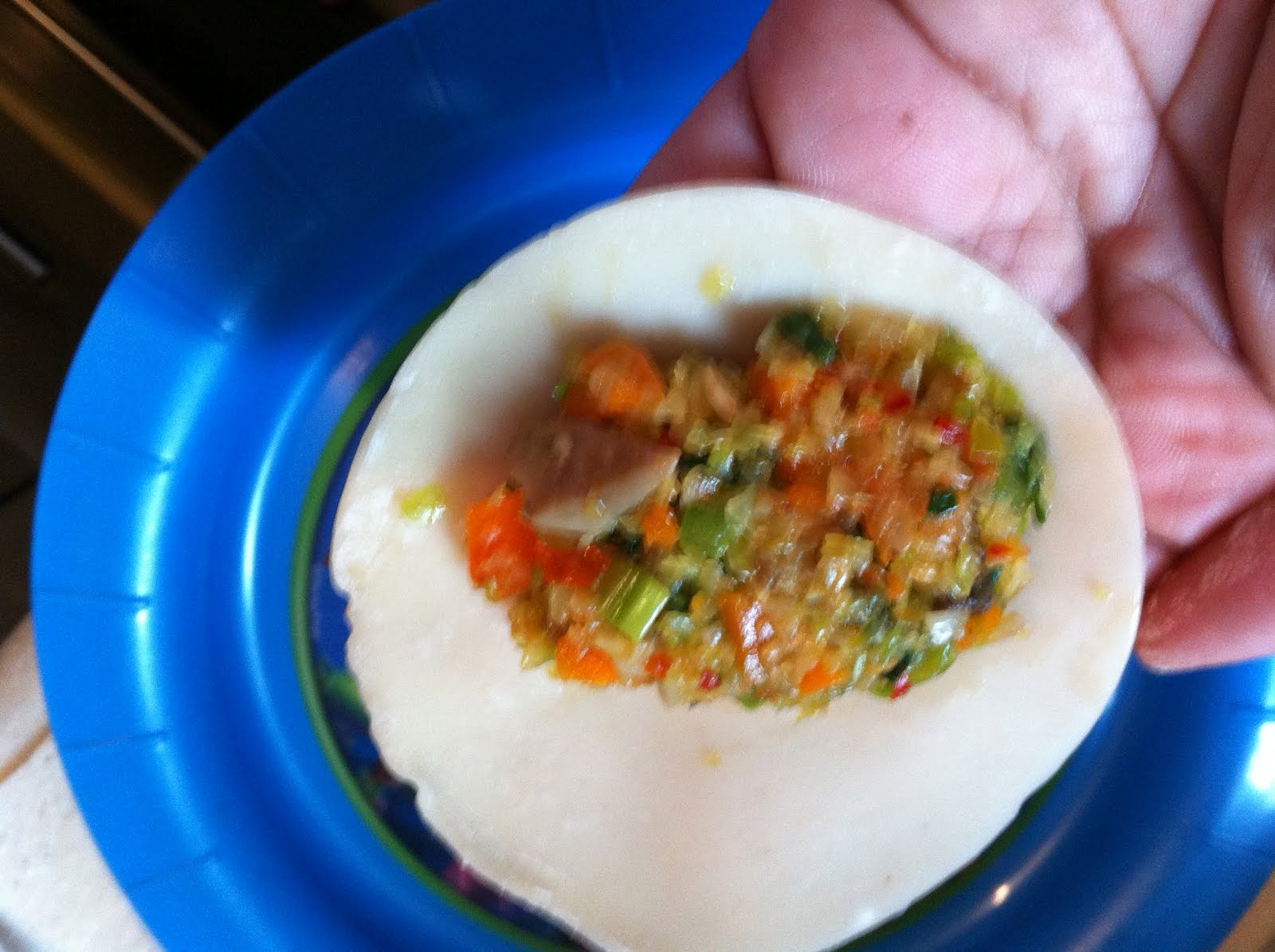 Sanya's Recipe Explorer: Vegetable Dim Sum