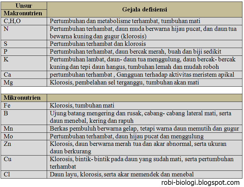 Gejala- gejala defisiensi mineral - BELAJAR BIOLOGI