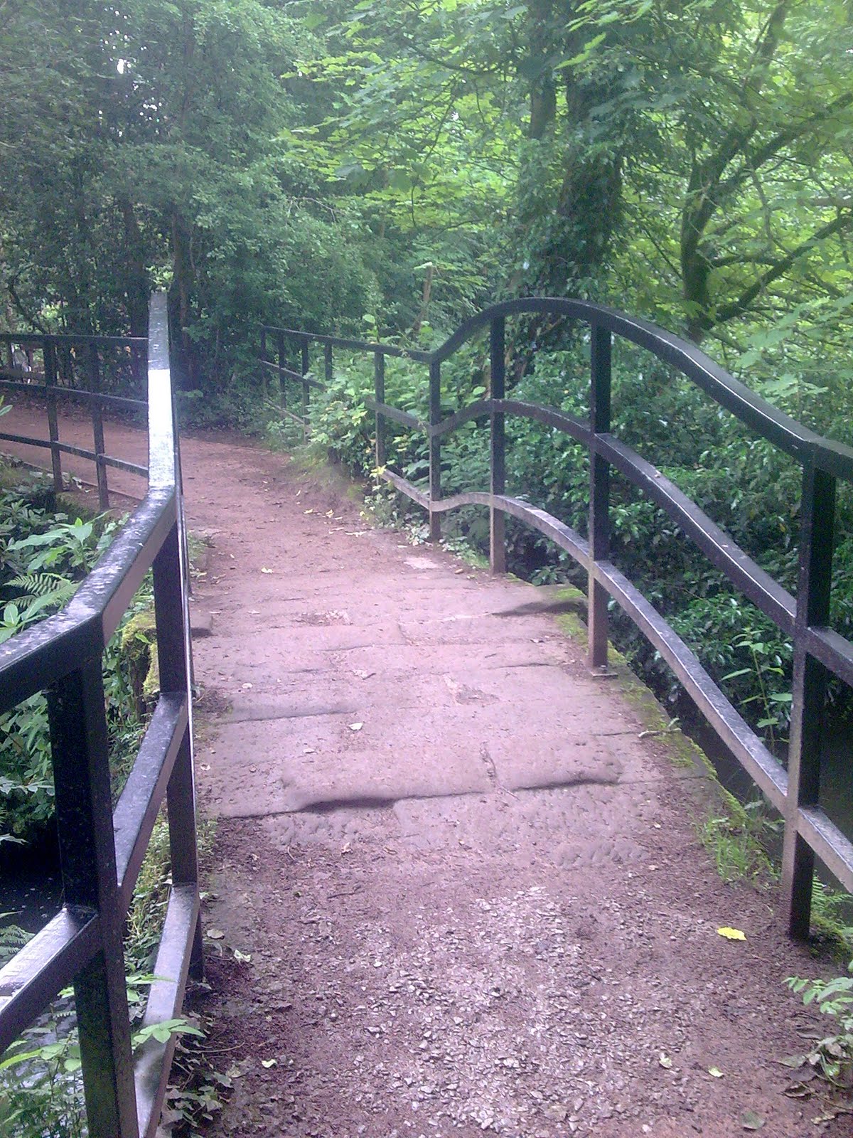 "ook?!": walk, Lymm Dam