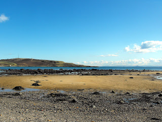 Largo Baywatch: Shell Bay and Ruddons Point
