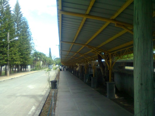 Dince's Chronicles: CAVITE STATE UNIVERSITY - MAIN CAMPUS