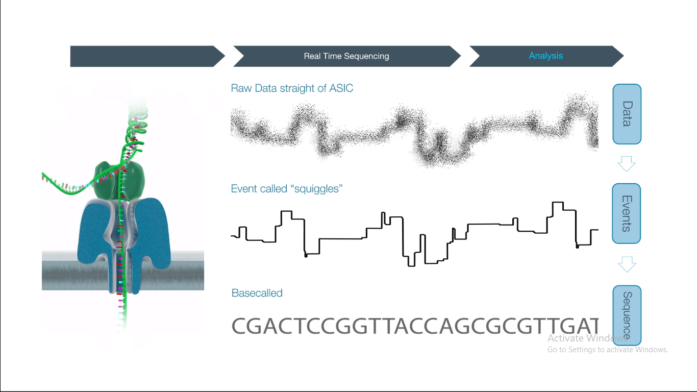 World of CRISPR: MinIon : The Ultimate future of genome sequencing