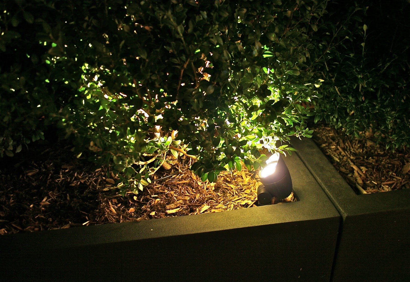 GreenZone Landscape Design: LED Lighting is Perfect for Small Urban Gardens