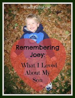 kissing the frog: Remembering Joey: What I Loved About My Son
