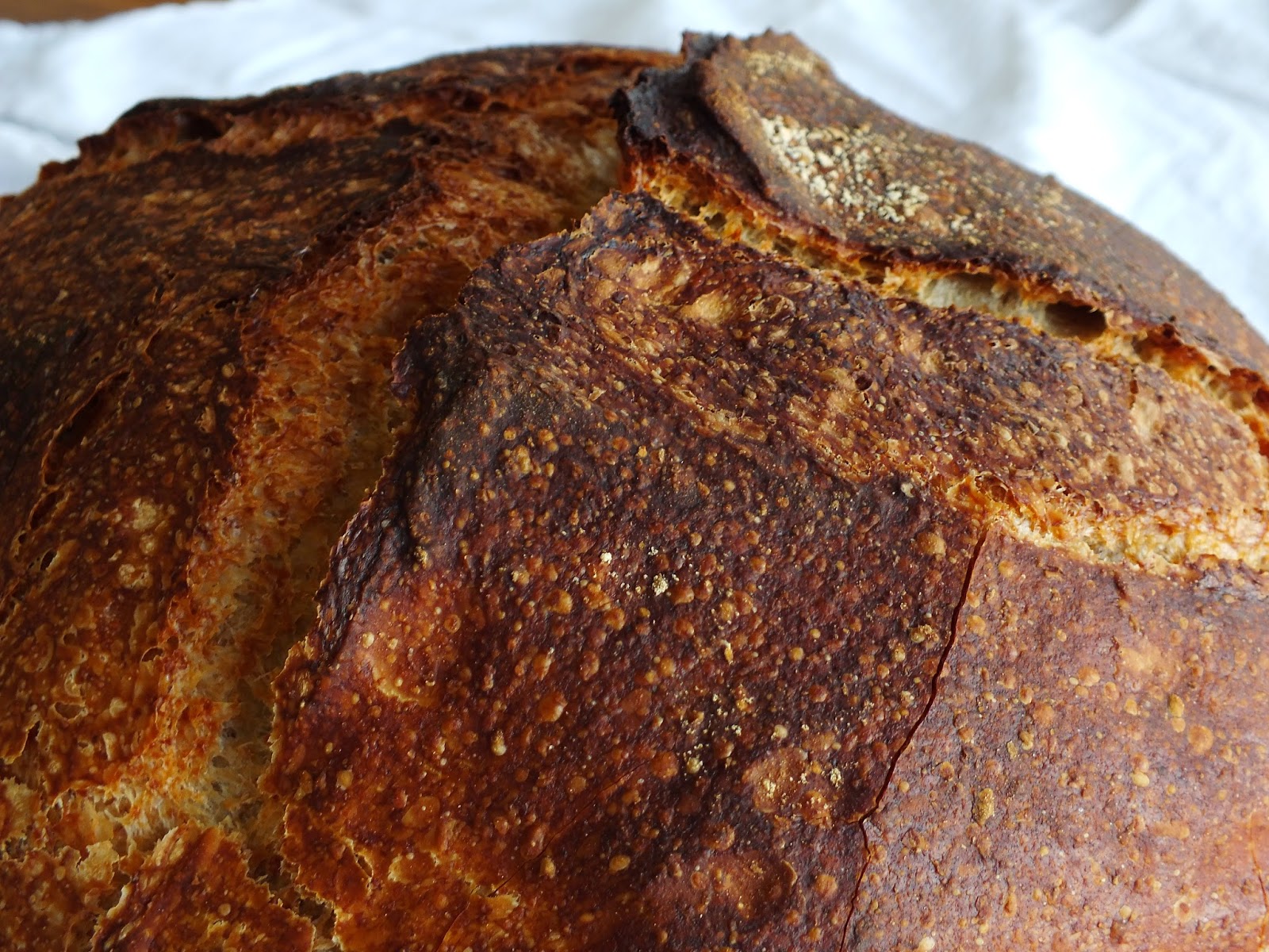 Cooking From Scratch: Harvest Loaf