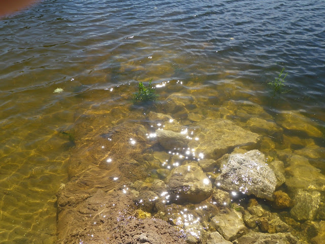 The Lost Grove Lake Mapping Project