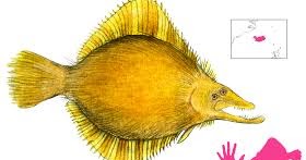 CFZ-USA: VATNAGEDDA: CRYPTID FISH