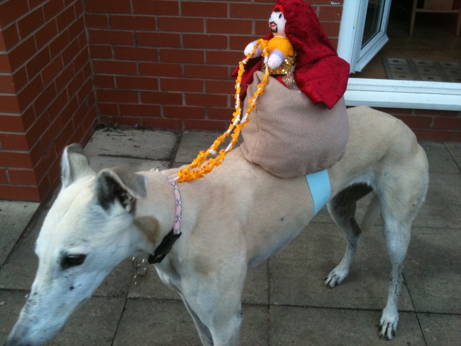 Winnie's Dog Blog: Today I am mostly being a... camel