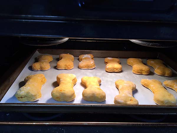 Garden Ally: Baking for the Dogs