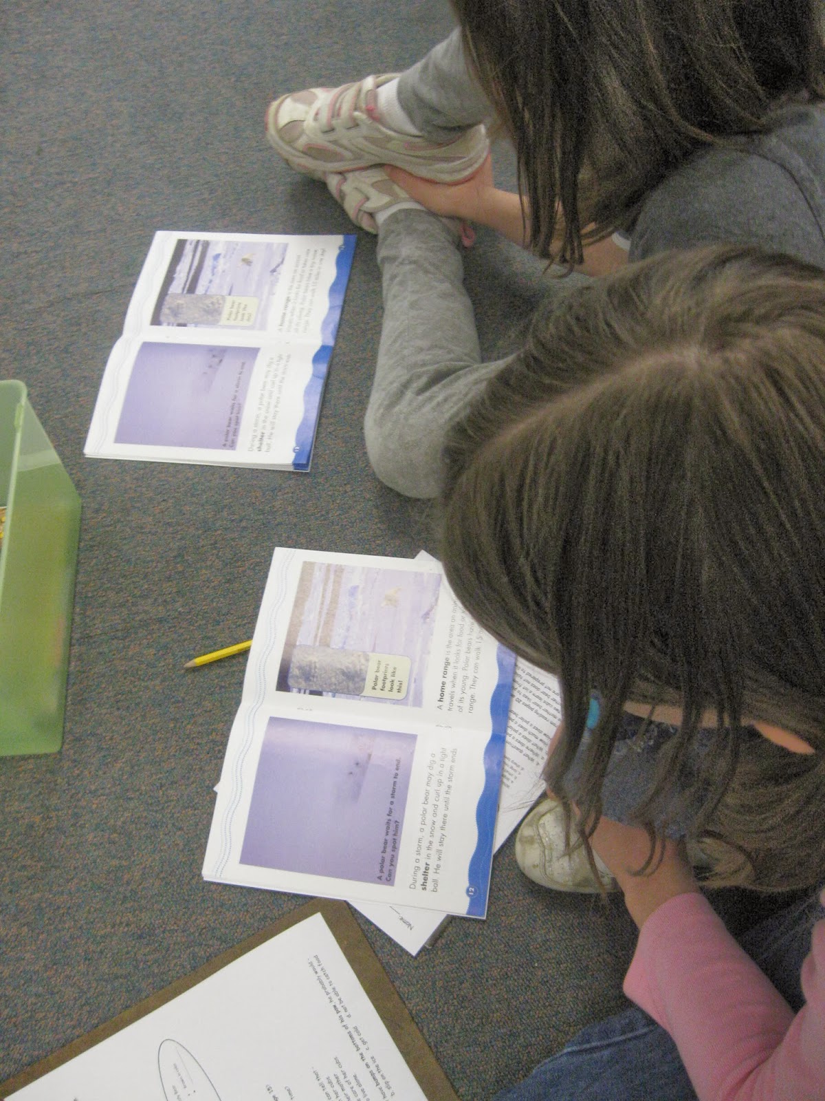 Live and Learn: Reading for Meaning: A Research Based Approach