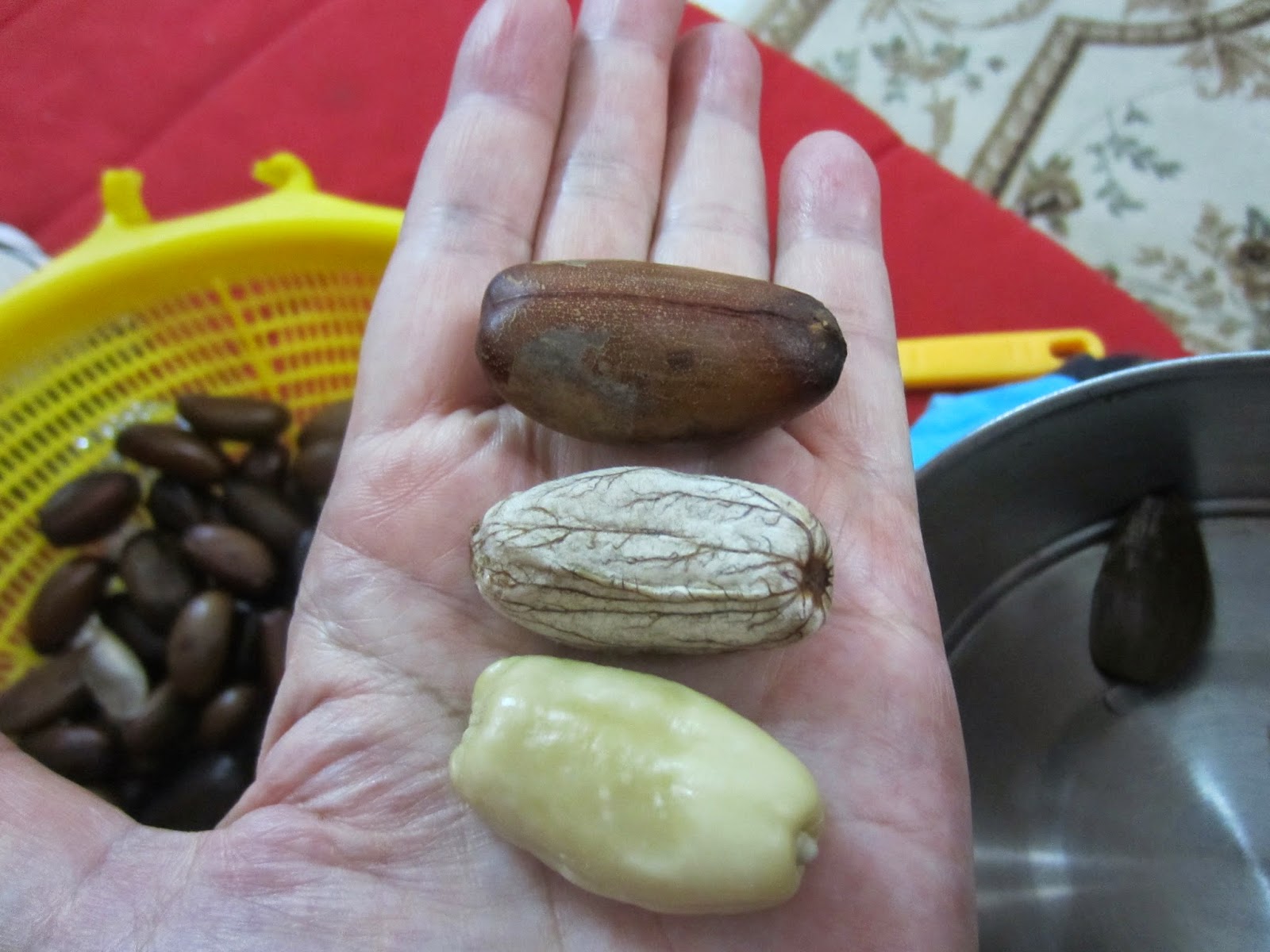 Catatan Monie: buah perah