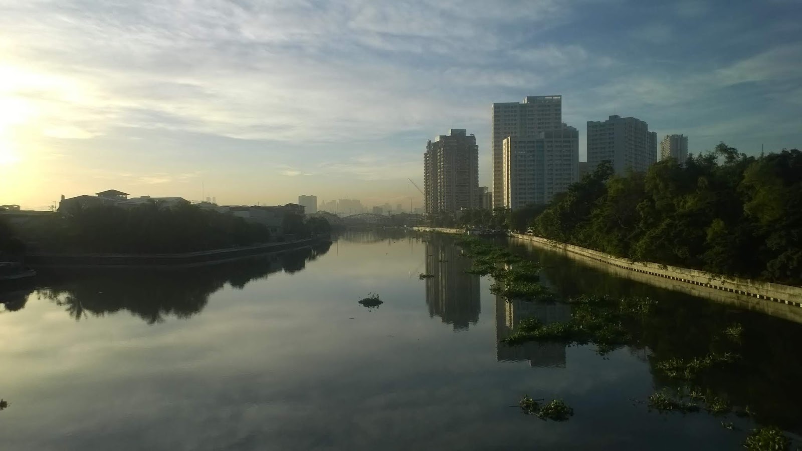 Save the Philippine Nature and Environment Starting with Pasig River ...