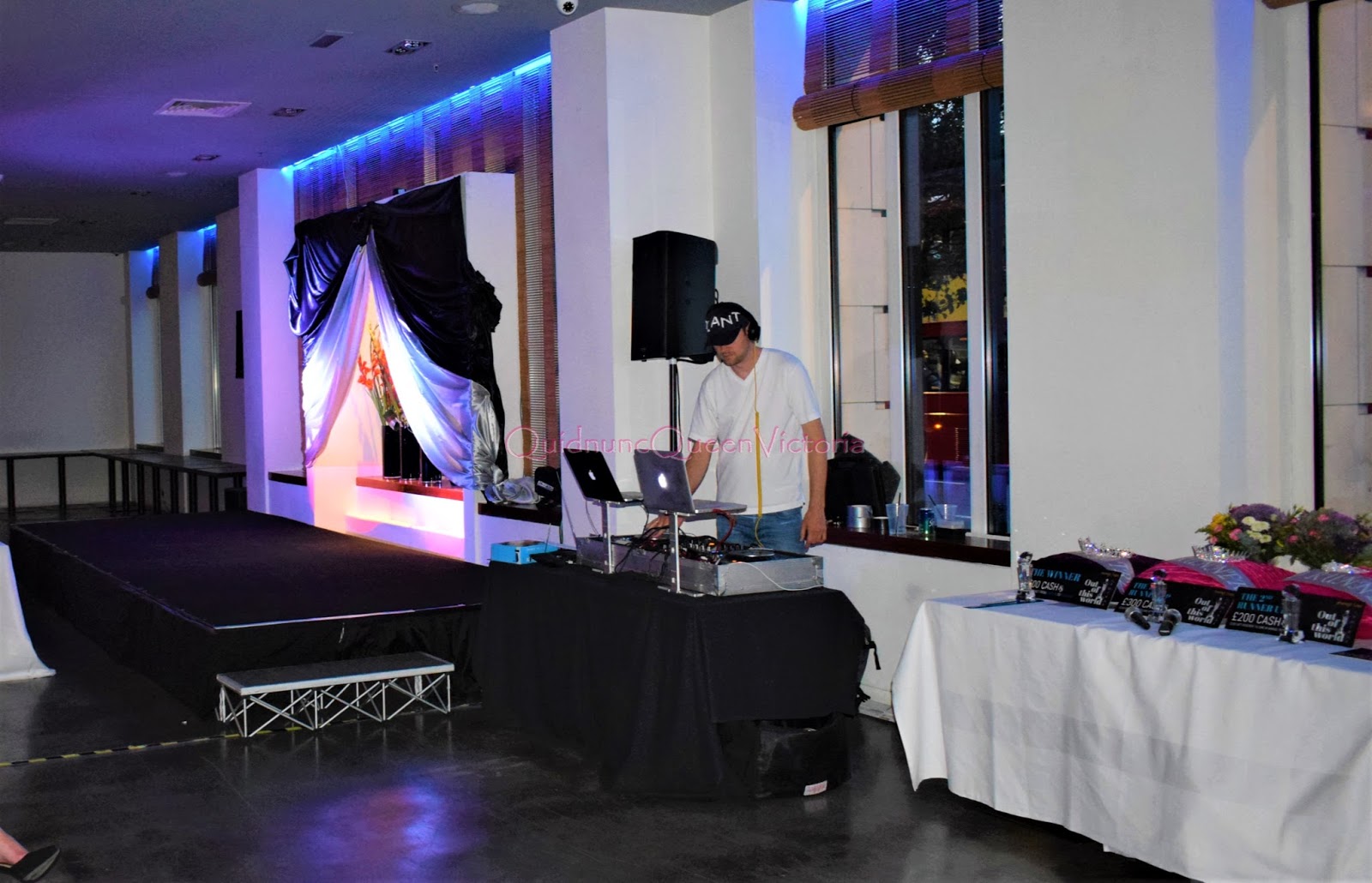 THE QUIDNUNC QUEEN : MISS MANGO TREE OUT OF THIS WORLD 2017