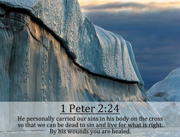 PICTURE WITH BIBLE VERSES | 1 PETER 2:24