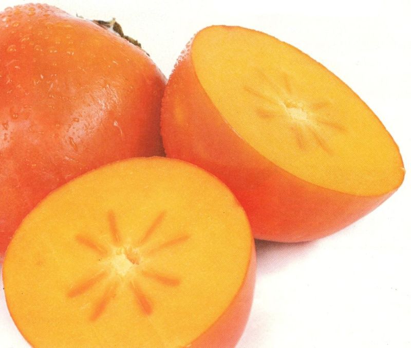 02/22/11 ~ Fondo Gastronómico