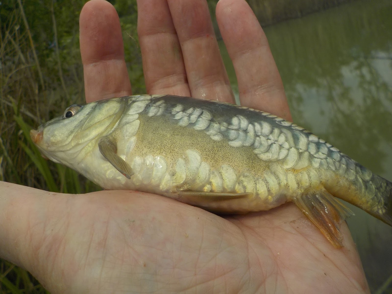 Ken's Fishing Tales: 2017