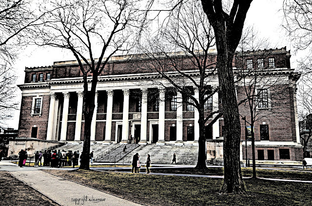 Harvard Square: Widener Library