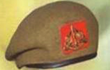 Dunia Militer Etc: Jenis baret TNI AD