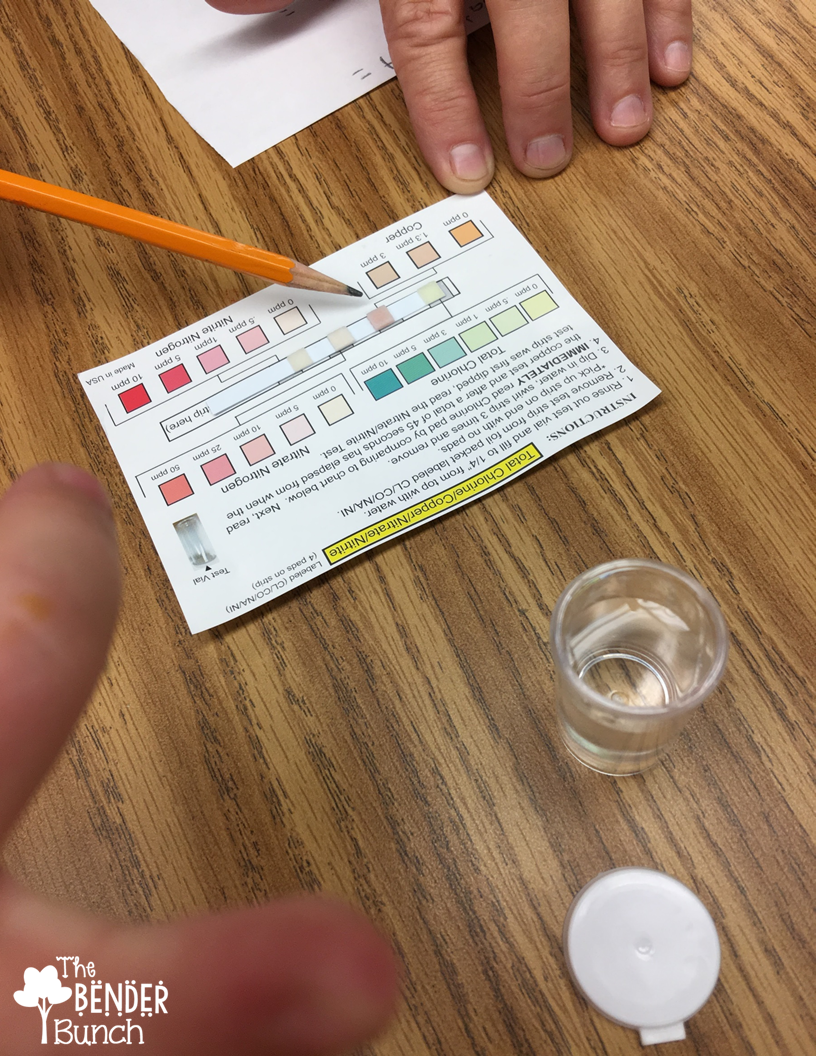 The Bender Bunch: Science Fair Kit Giveaway!