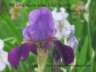 Carol McAdams Moore - Blog: God Hears Our Prayers