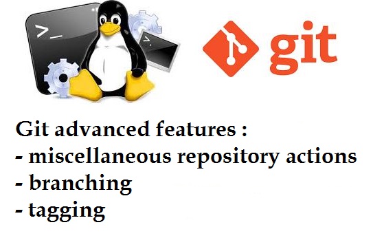 Git Command with Practical Examples on Linux – Part 2 | LPI Central