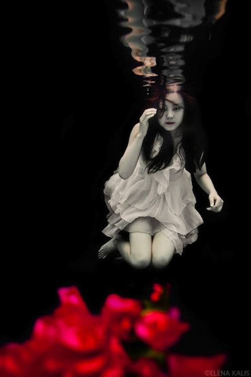 Amazing underwater photography by Elena Kalis