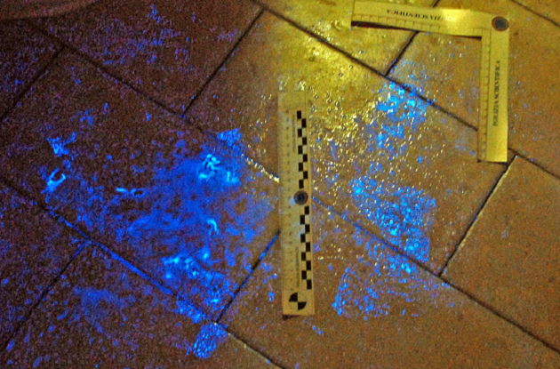 Meio Ambiente: O Luminol