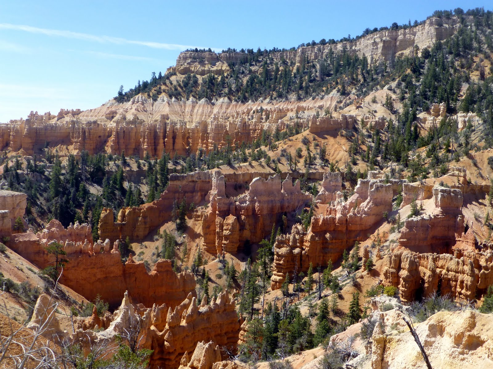 A Little Magic Every Day: HooDoo Magic: Bryce Canyon National Park