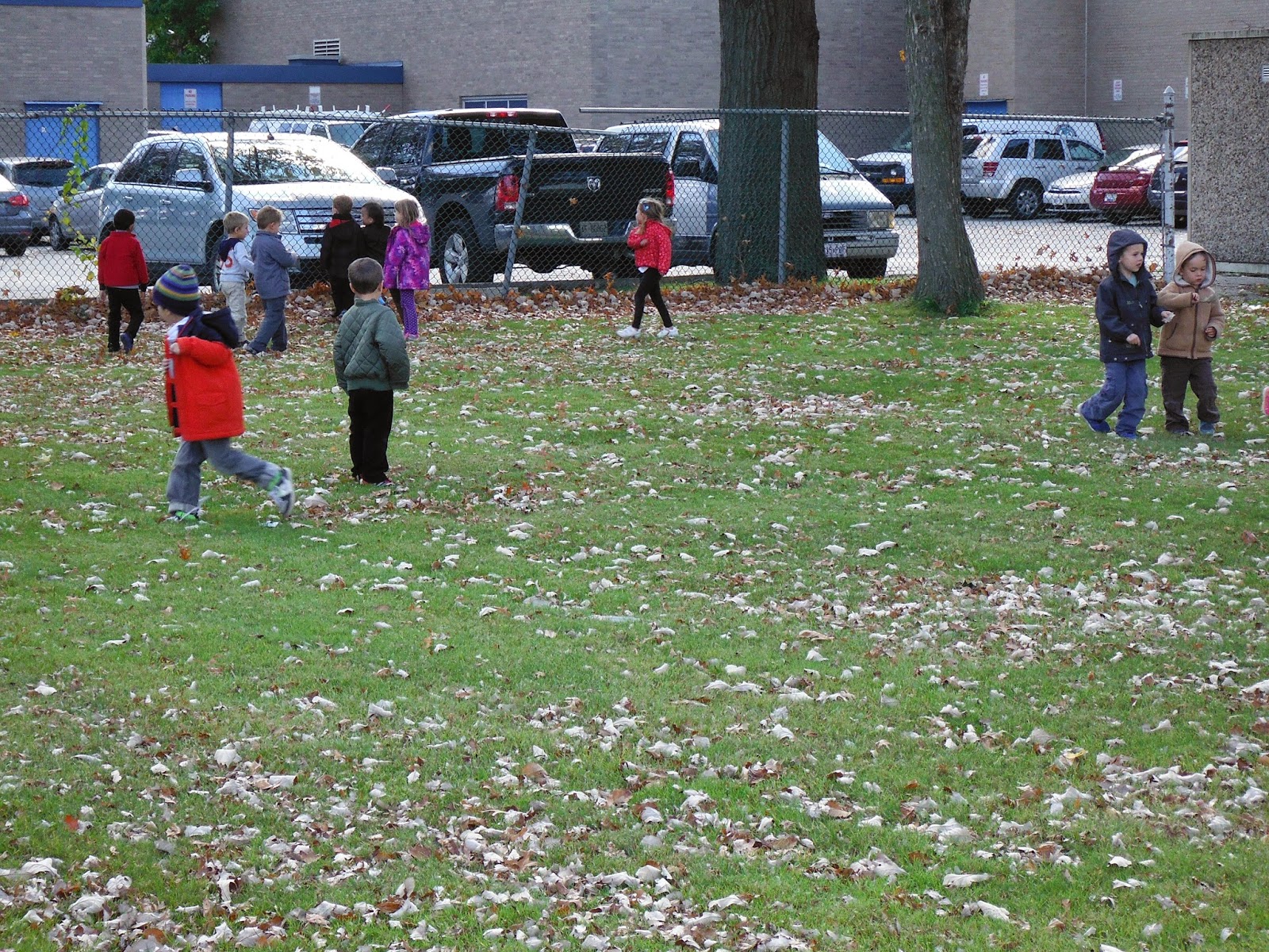 Learning in Early Years: Nature Walk
