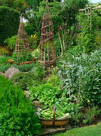 Bean pole trellises