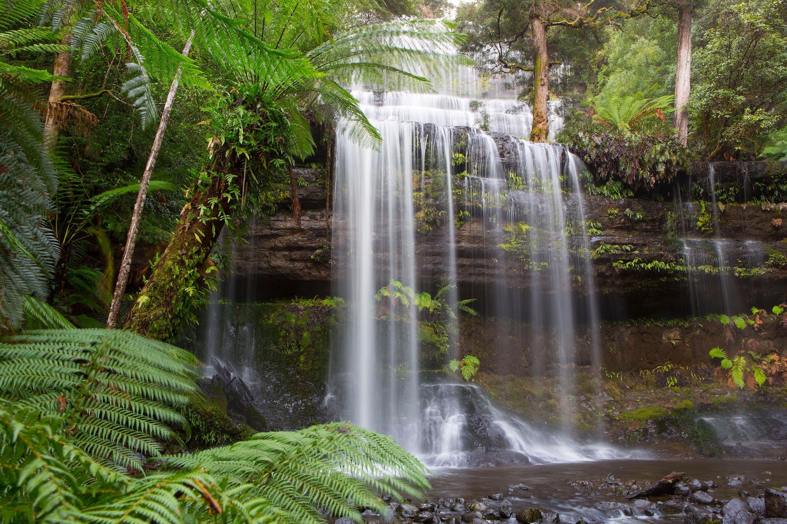 Las mejores imágenes del mundo (35 fotografías inéditas) Parte 5 ...