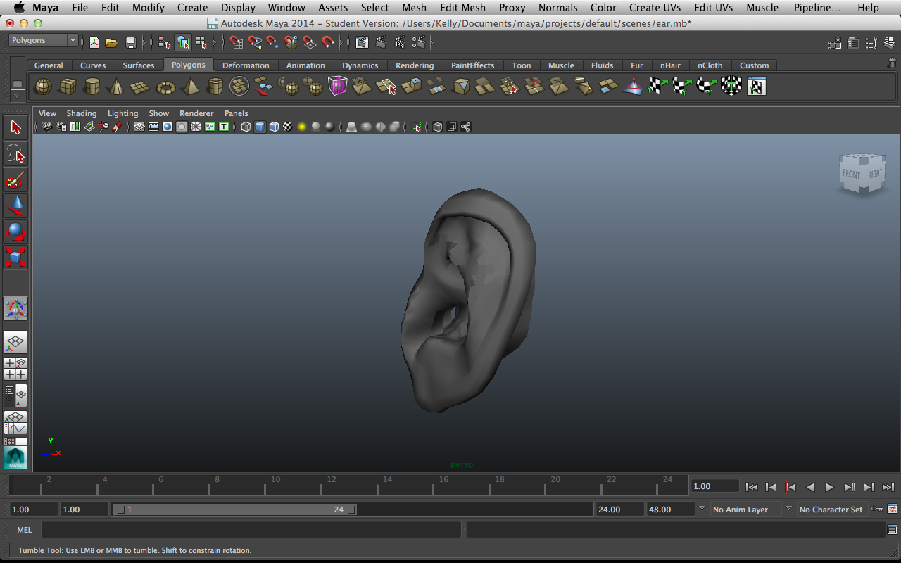 Group 080-15: Artificial Ear