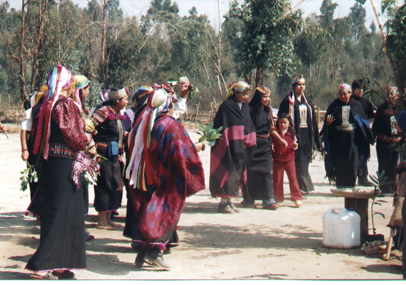 Relmu Rayen Chod Lafken: Desarollo y Practica de Cultura mapuche