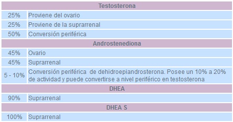 Endocrinología Ginecológica: Androgenos