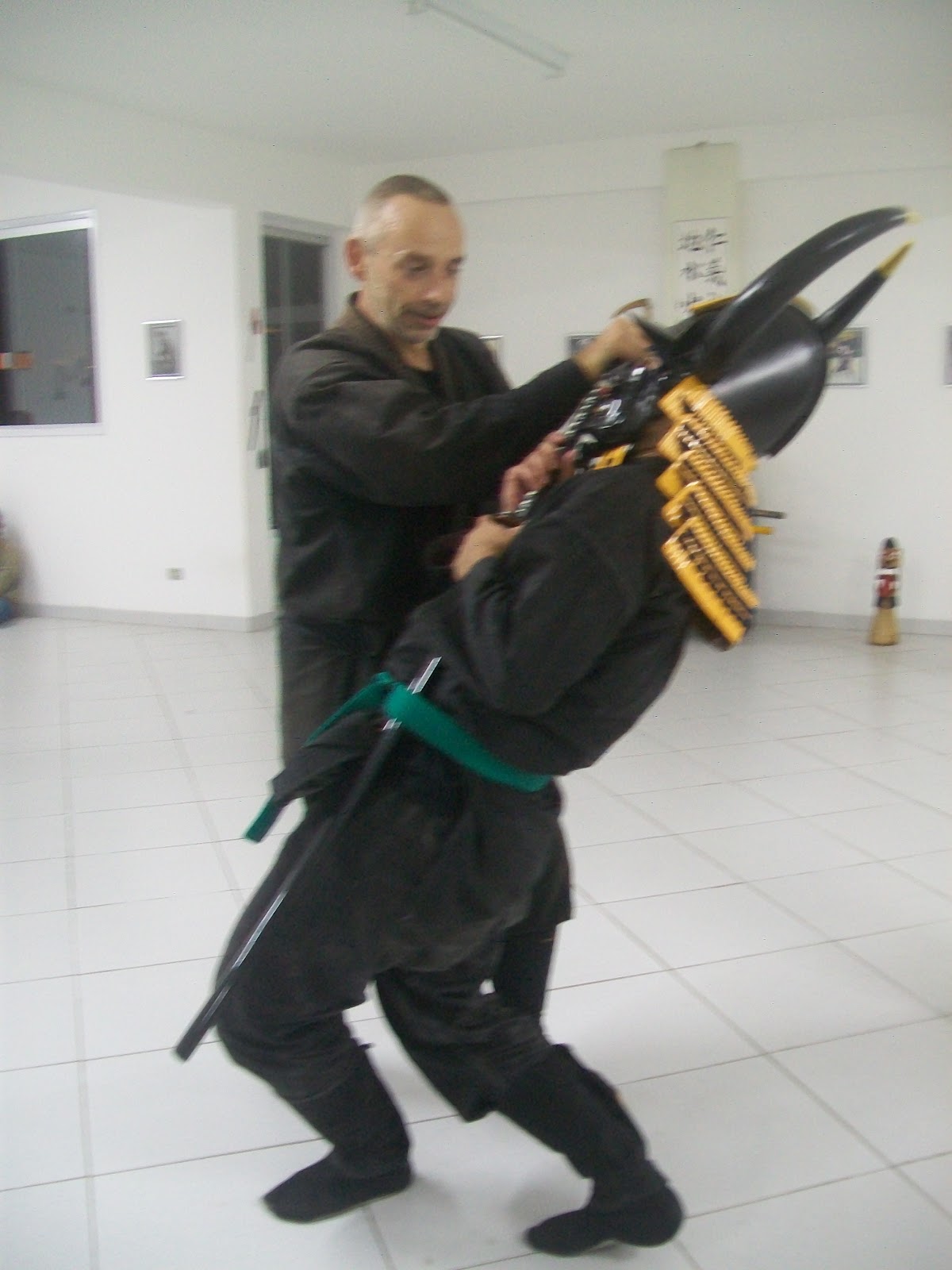 ESCOLA TRADICIONAL SHAOLIN DE KUNG FU: BUJINKAN TAIJUTSU DOJO ...