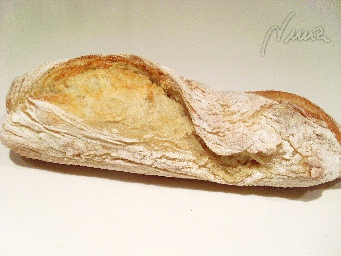 Azul Purpura: febrero 2009