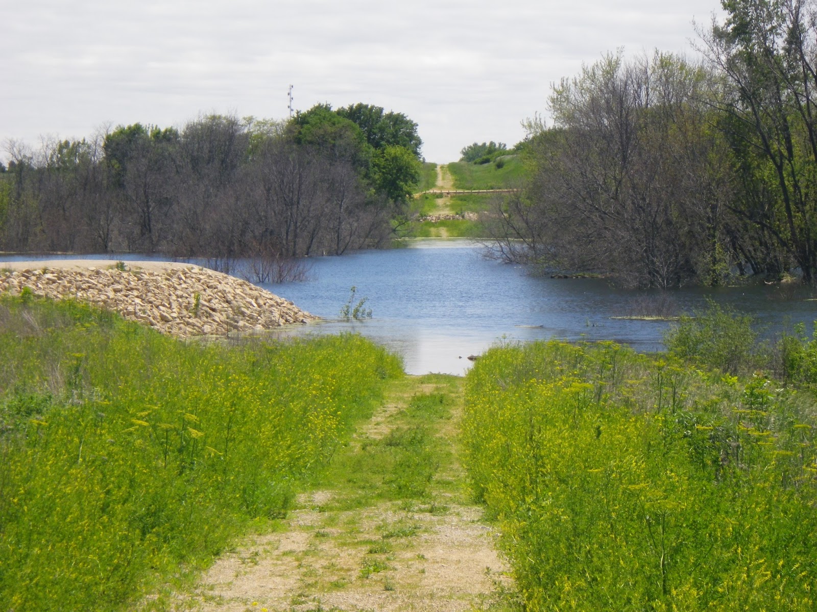 The Lost Grove Lake Mapping Project: It's Getting Closer To Full