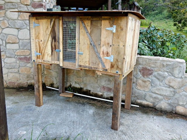 Two Bears Farm and the Three Cubs: Building a Rabbit Hutch From Pallets