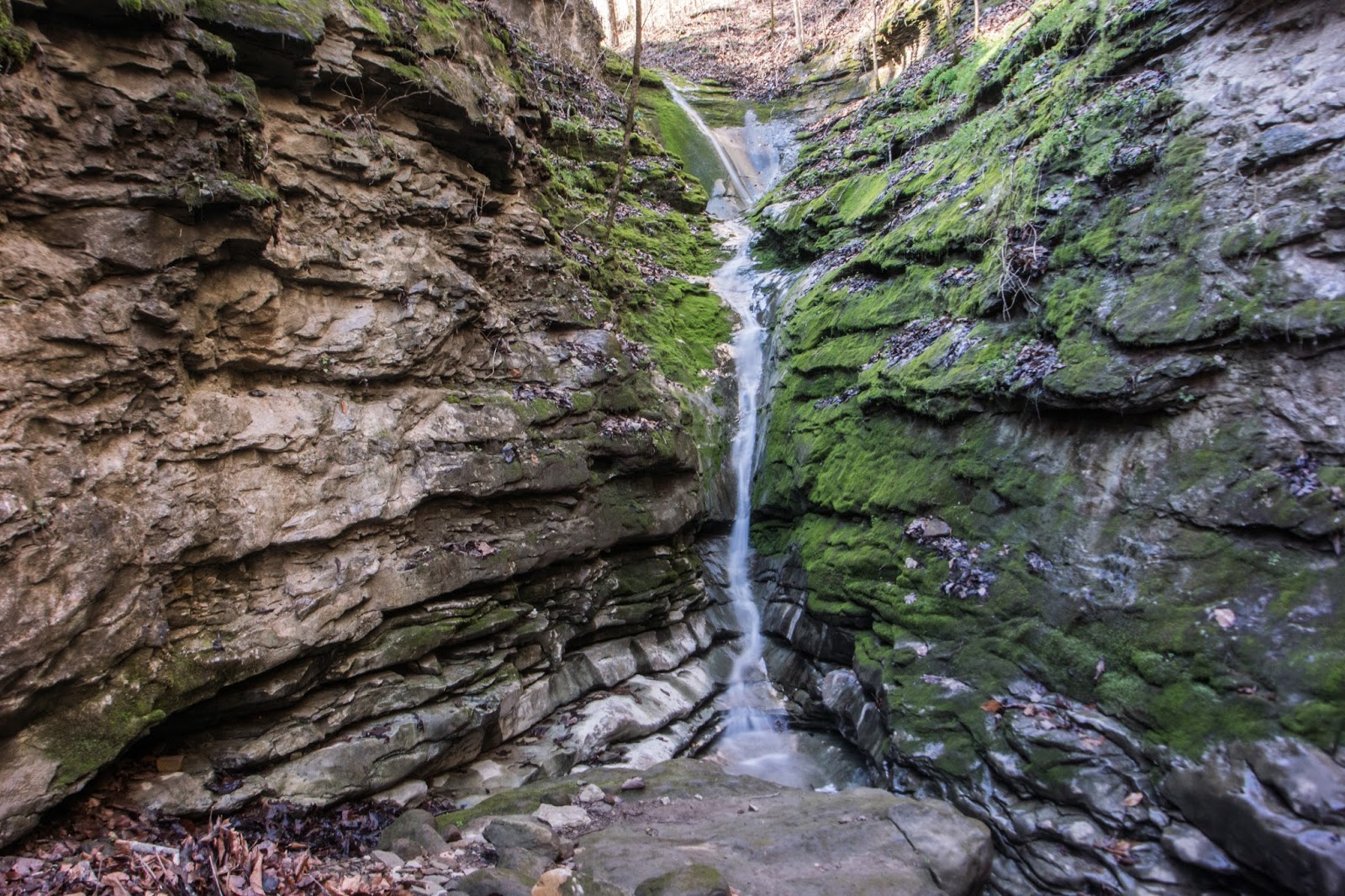 Rick's Hiking Blog: QuiVaLa Elise Falls, Smith Creek Nature Preserve ...