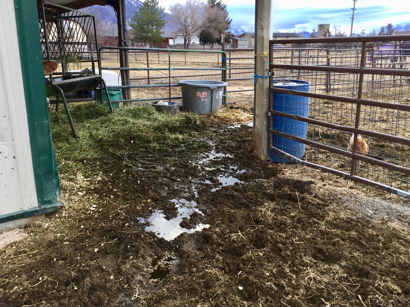 Mud and Yuck! - My Welcome Home Farm
